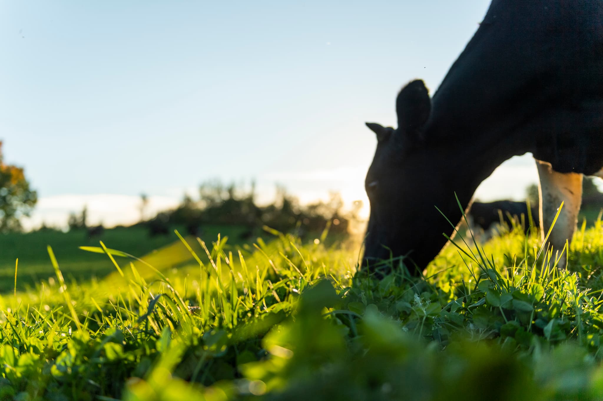 We’re updating Farmers.coop!